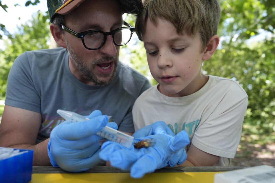WVU Professor Tracks a Bug-Controlling Super-Sized Fungus | News ...